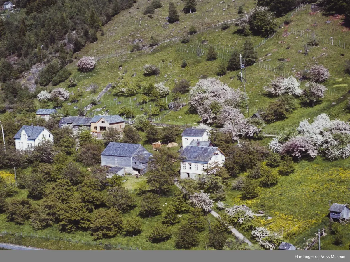 Flyfoto, Urheim Indre - Hardanger og Voss Museum / DigitaltMuseum