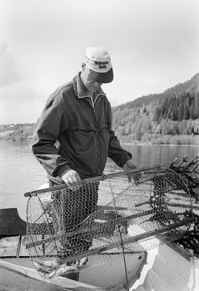 Odd Lundby, Odnes fisker med abbor-ruse i Randsfjorden. Fiske med ruse ...