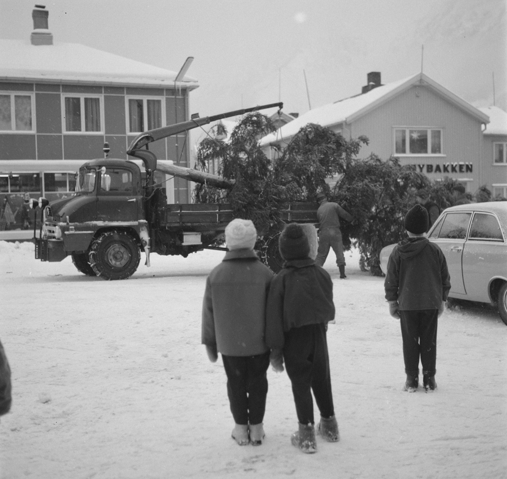 Fra Torget i Mosjøen. Julegrana ankommer med kranbil. Barn som står og ...