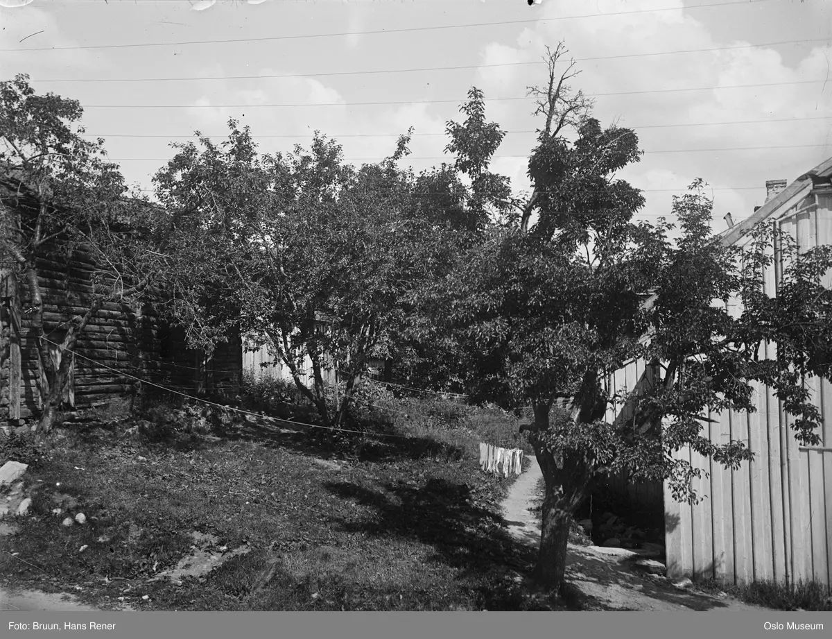 Bakhage i Molde. - Oslo Museum / DigitaltMuseum