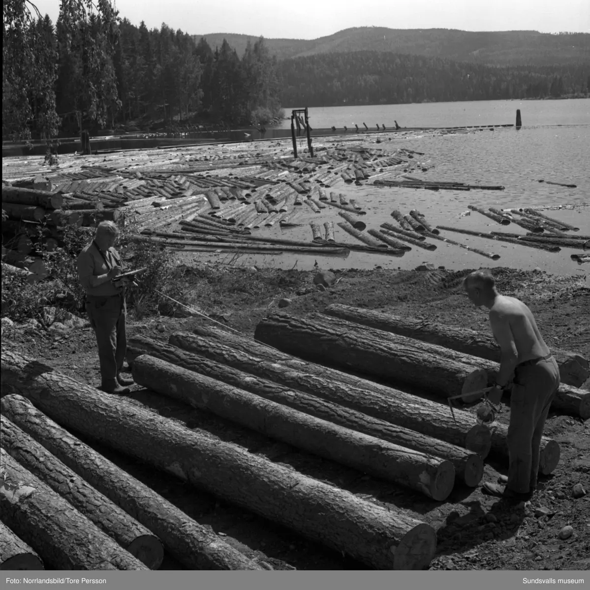Plyfa-fabriken i Hassela, exteriör- och interiörbilder från ...