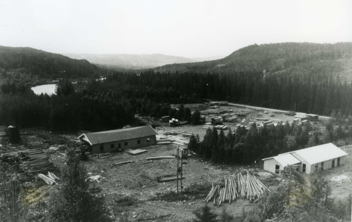 Torpa sag ved Åmot, Nord-Torpa - Lands Museum / DigitaltMuseum