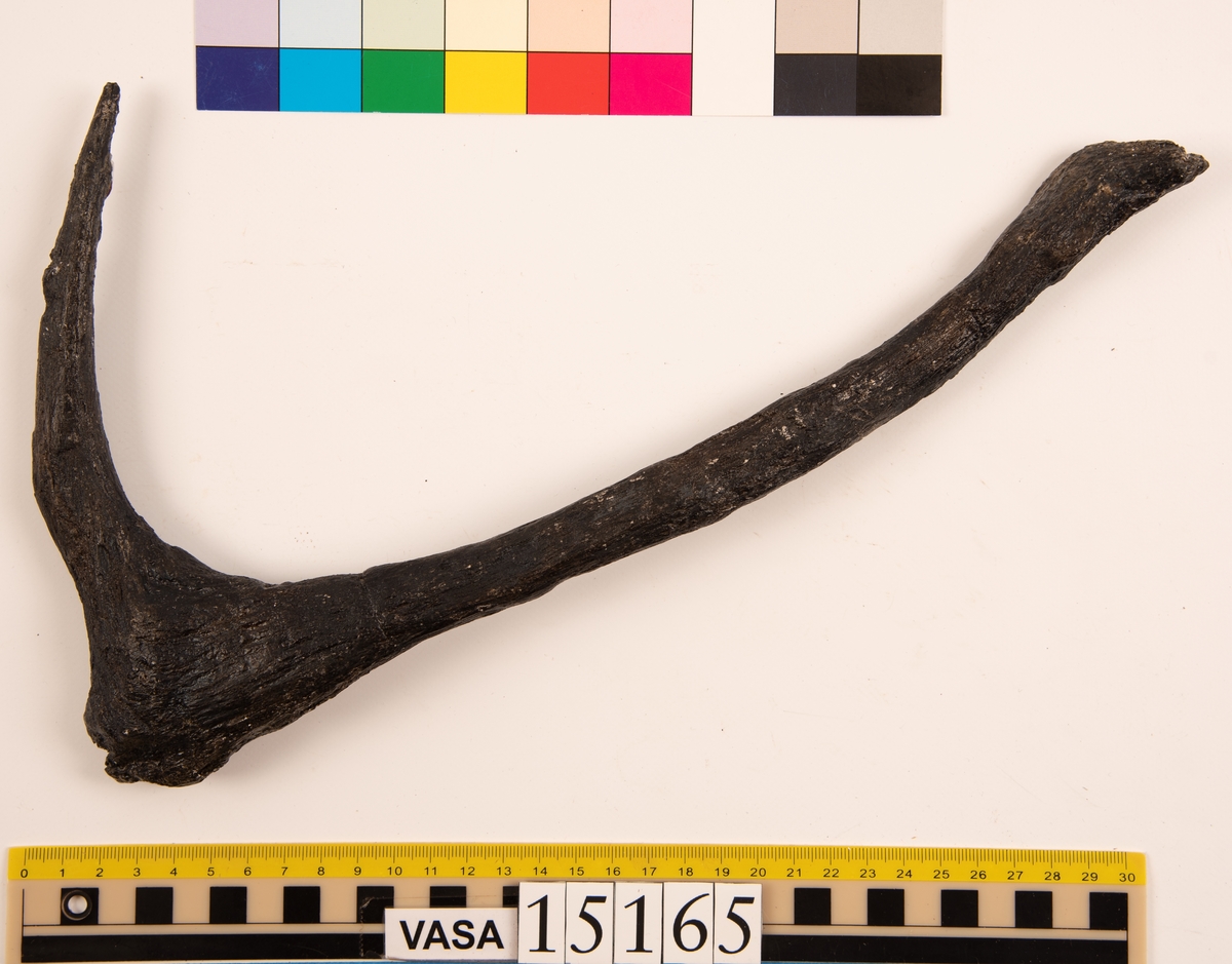 Klyka - Vasamuseet / DigitaltMuseum