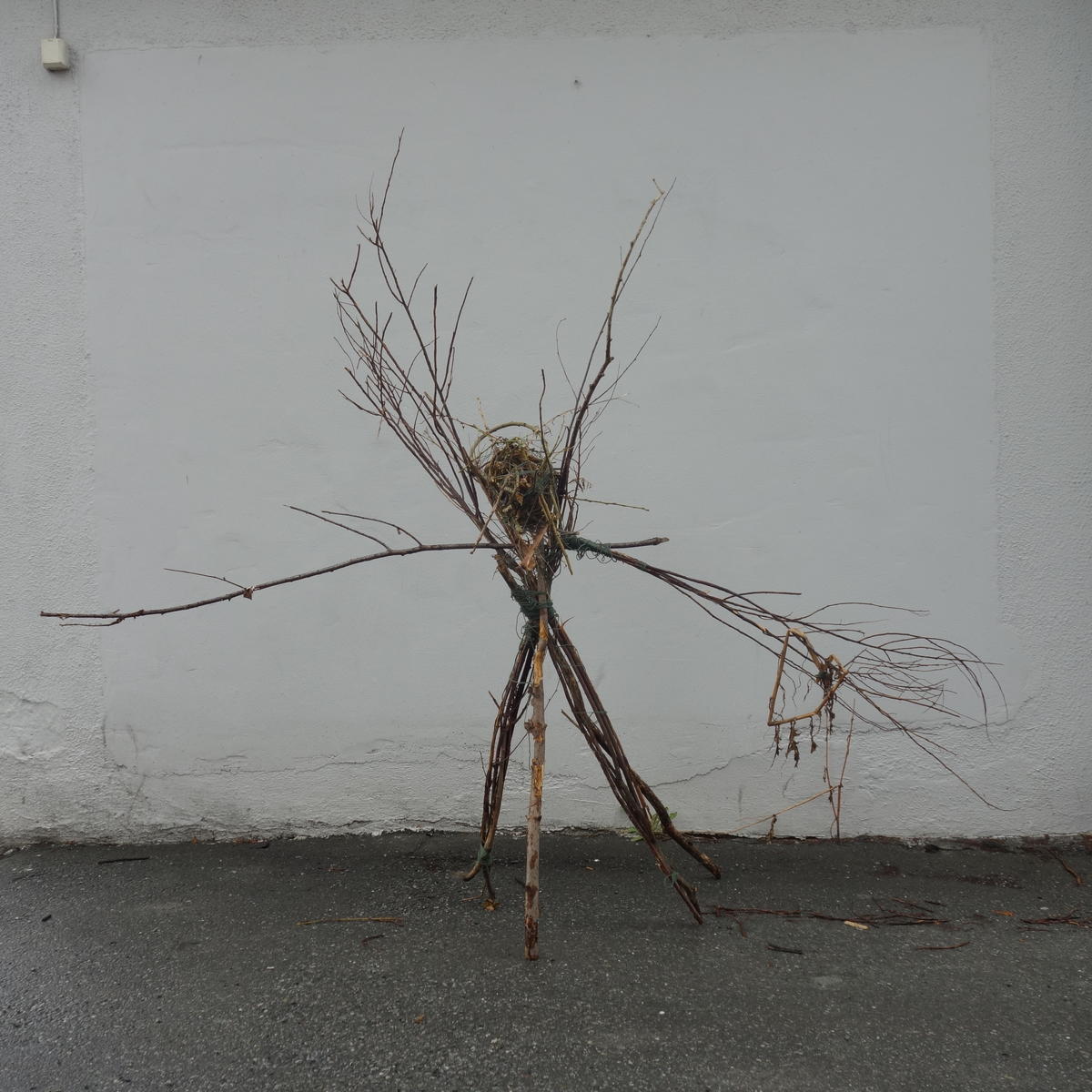 Treskulptur - Trondheim kunstmuseum
