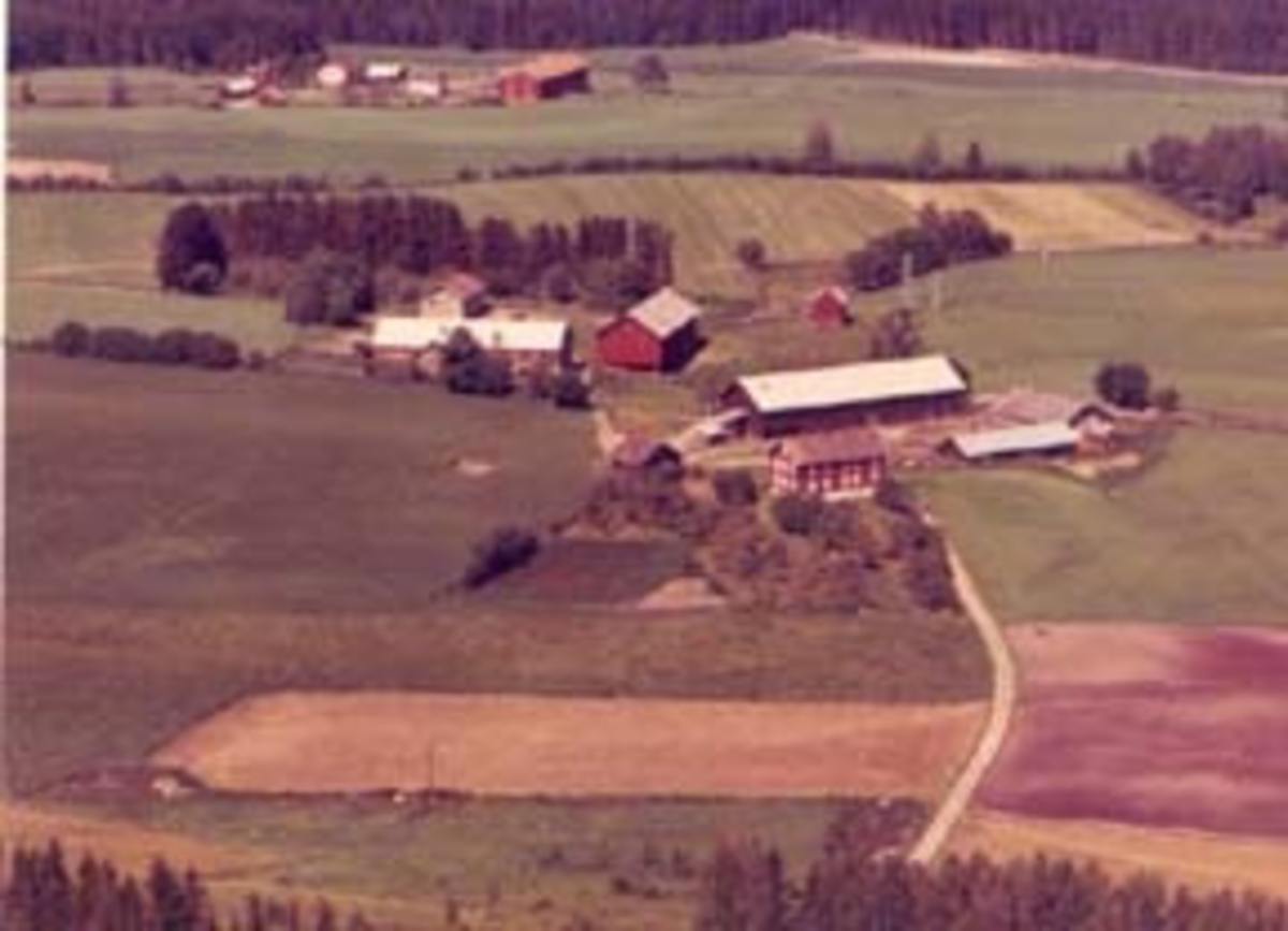 Flyfoto av Halset gard, Furnes, Ringsaker. - Anno Domkirkeodden ...