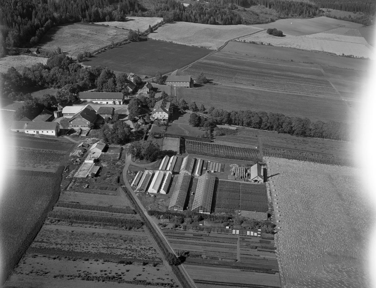 Flyfoto Grefsheim gard, Nes, Hedmark. Gartneri, drivhus, jordbruk ...