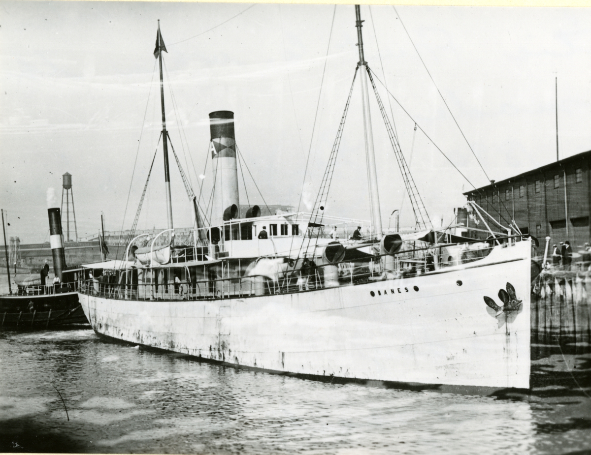 D/S 'Banes' (b.1890, Grangemouth Dockyard Co., Alloa, Grangemouth ...